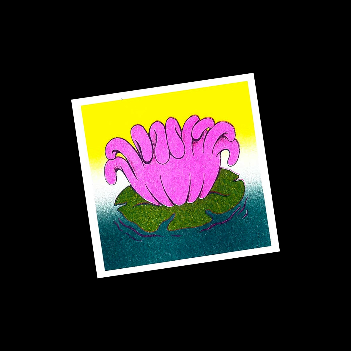 Anaïs Rallo — Water Lily - Super Banco